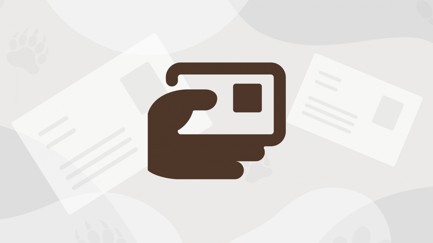About Your Brown Card | The Brown Card | Brown University